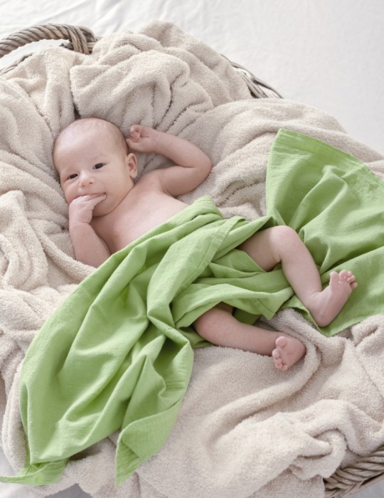 Back to the New Normal